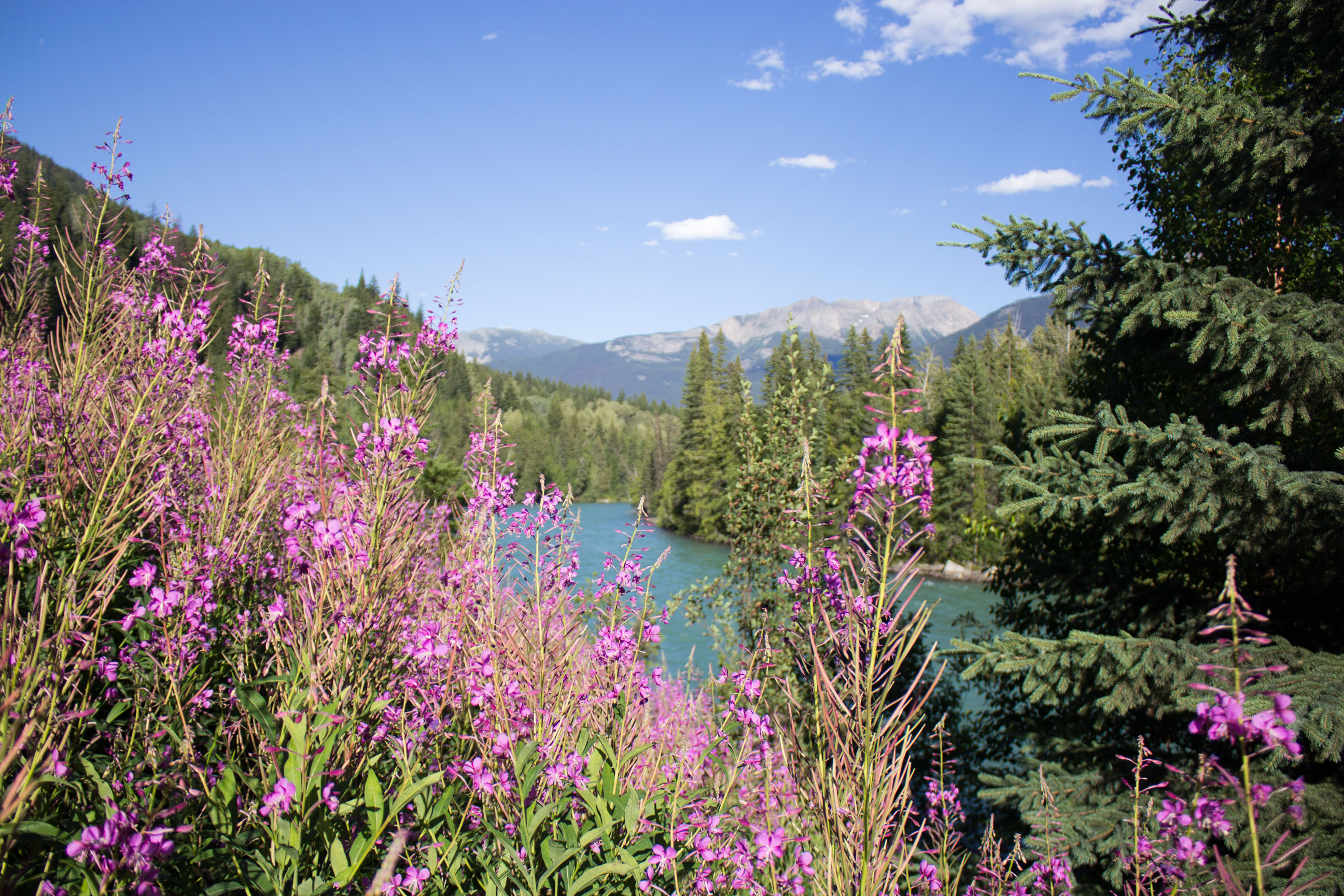 British Columbia – Ein Jahr unterwegs in Kanada